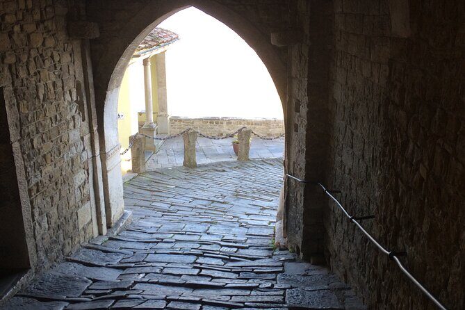 Istria Private Day Trip - An In-Depth Look at the Istria Private Day Trip