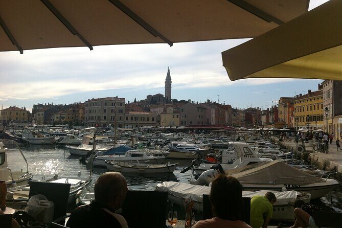 Istria Private Day Trip - Is This Tour Worth the Price?