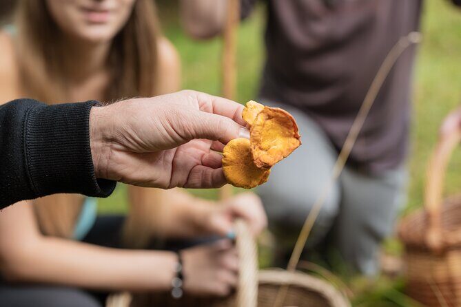It Smells Like Mushrooms - FAQ