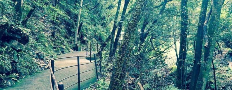 ita: Lantern-Lit Towns and Christmas Lights Tour - Key Points