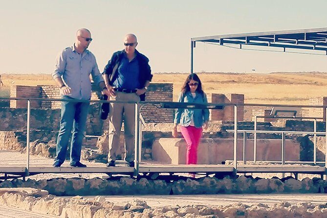 Italica 2-Hour Private Guided Tour - The Guide’s Role & Expertise