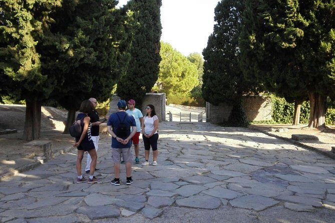 Italica 2-Hour Private Guided Tour - The Overall Experience & Value