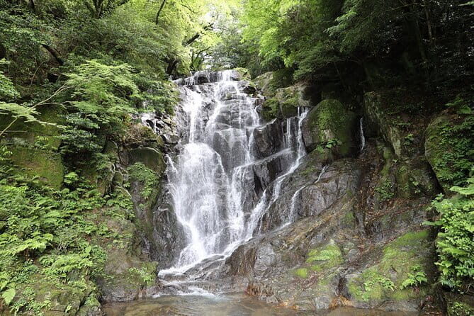 Itoshima Day TourFalls, Cafe, Seafood & More (from Hakata) - Exploring the Itoshima Day Tour from Hakata