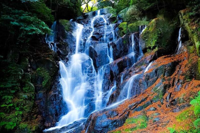 Itoshima Day Trip from Fukuoka: Nature & Coastal Scenery - Final Thoughts