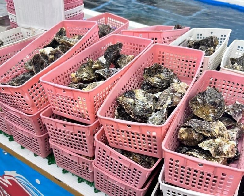 Itoshima Nature Tour with Oyster - An In-Depth Look at the Itoshima Nature Tour