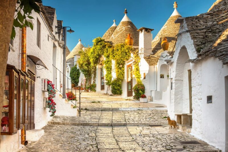 Itria Valley Tour, Alberobello, Ostuni, Cisternino, Locorotondo - Introduction: A Perfect Day to Explore Puglia’s Hidden Gems