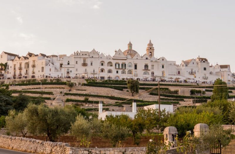 Itria Valley Tour, Alberobello, Ostuni, Cisternino, Locorotondo - The Itinerary in Detail