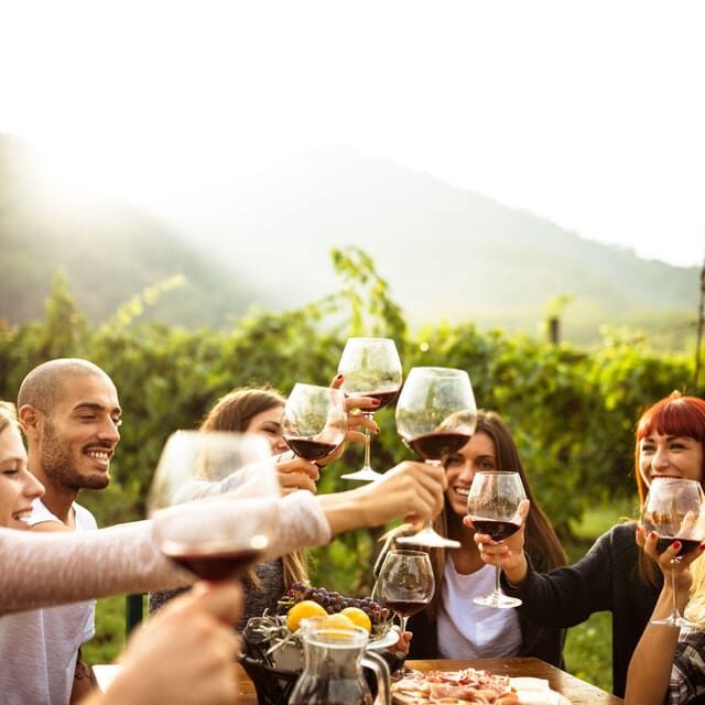 Itria valley: Wine and Olive Oil Tour and Tasting - The Sum Up