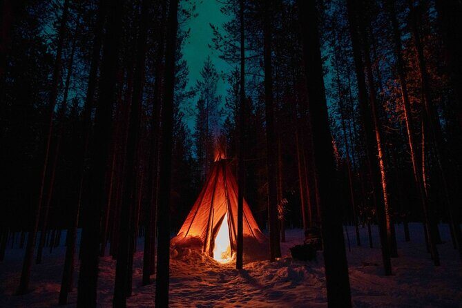 Ivalo: Aurora Hunting with Reindeer - A Closer Look at the Experience