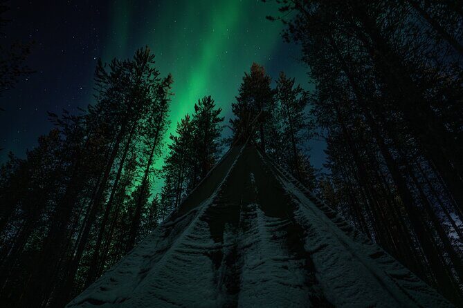 Ivalo: Aurora Hunting with Reindeer - The Sum Up: Who Is This Tour Best For?