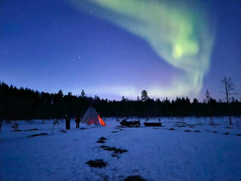 Ivalo: Northern Lights and Reindeer Farm Experience - Key Points