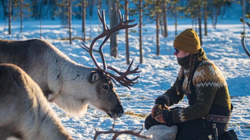 Ivalo: Northern Lights and Reindeer Farm Experience - Who Will Appreciate This Tour?