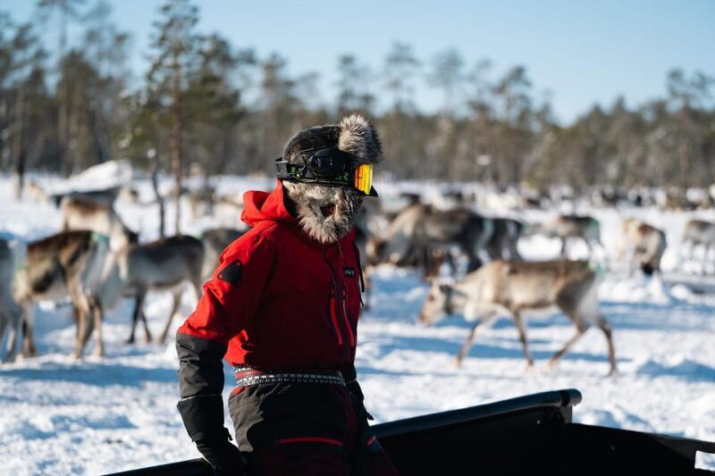Ivalo: Reindeer Herders and Winter Fishing with Lunch - A Practical Overview of the Tour
