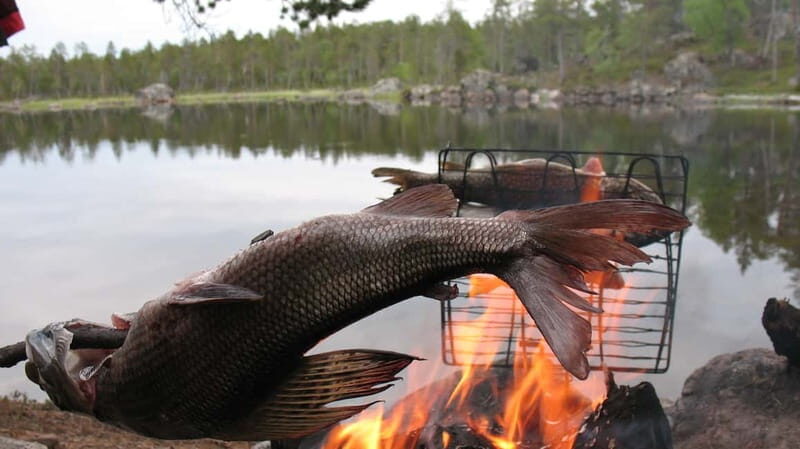 Ivalo: Summer Day/Evening on a Lake in the Wild - Value and Practicality