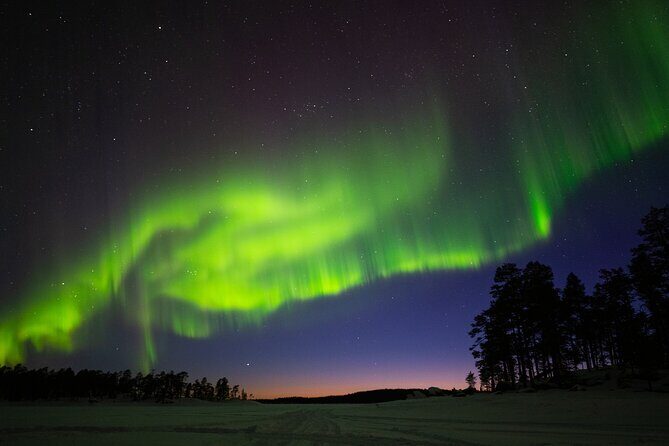 Ivalo: Wilderness Adventure by Snowmobile Sleigh - A Closer Look at the Experience