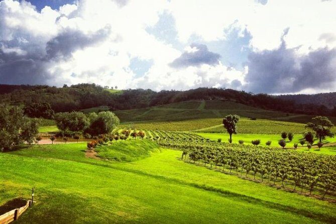 Ivanhoe Wines: Trip Advisor Premium Wine Tasting - The Sum Up