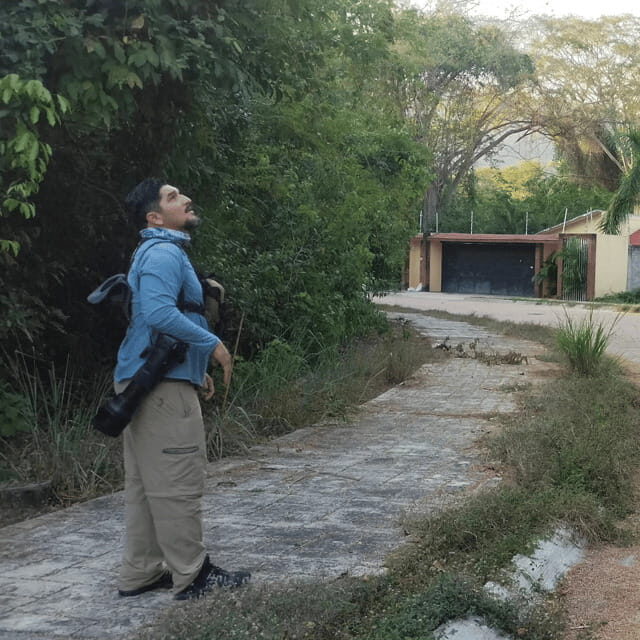 Ixtapa: Bird Watching Tour with Round-Trip Transportation - Why This Tour Offers Great Value