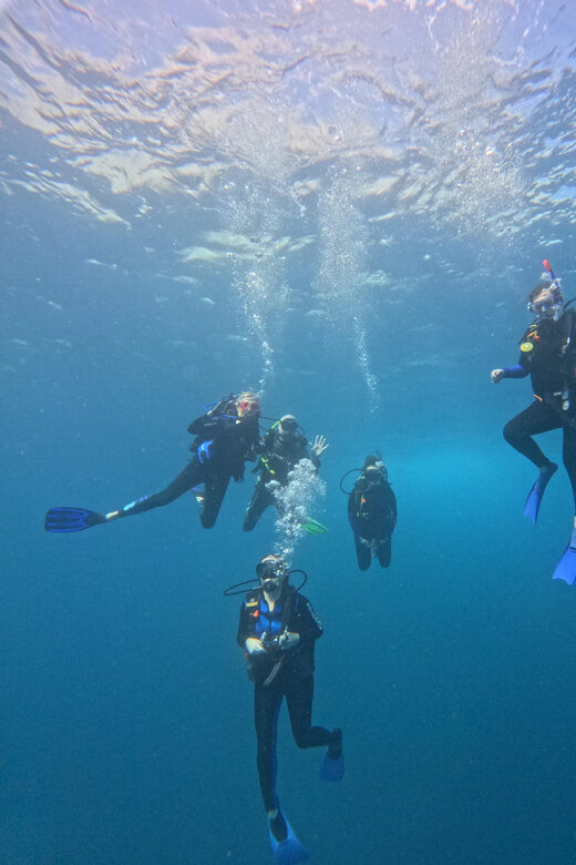 Ixtapa: Discover Diver Course - What Travelers Say