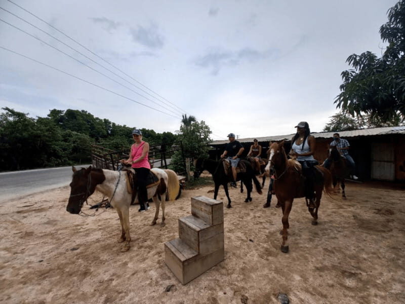 Ixtapa: Horseback Riding Tour Along Playa Larga - Key Points