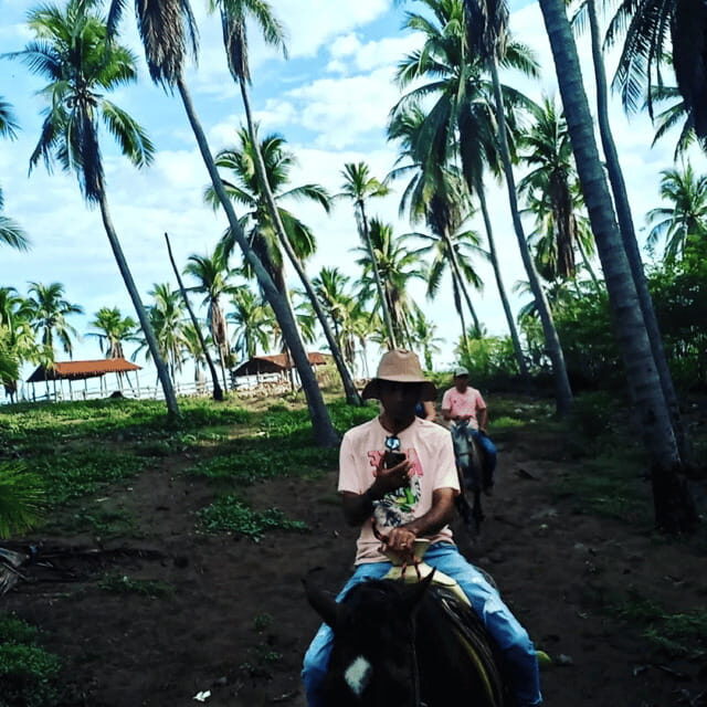 Ixtapa: Horseback Riding Tour Along Playa Larga - The Itinerary: What to Expect