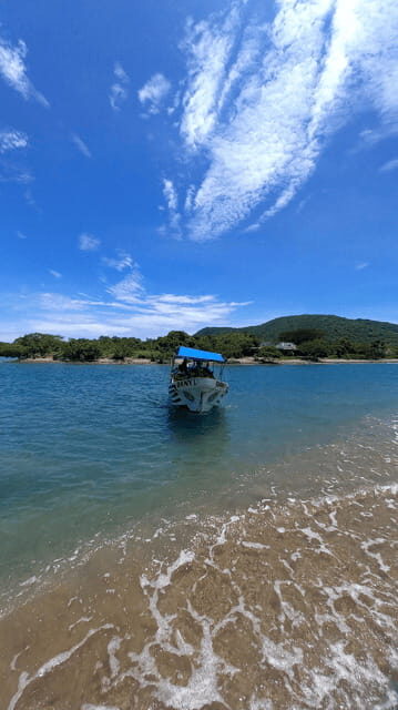 Ixtapa: Las Gatas Beach Adventure - Final Thoughts: Who Should Consider This Tour?