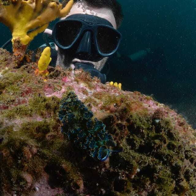 Ixtapa: Nighttime Underwater Exploration at Piedra Solitaria - Why This Tour Is Worth Your Money
