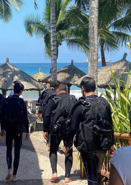 Ixtapa: Open Water Diver Course - Introduction: Why Consider the Ixtapa Open Water Diver Course?