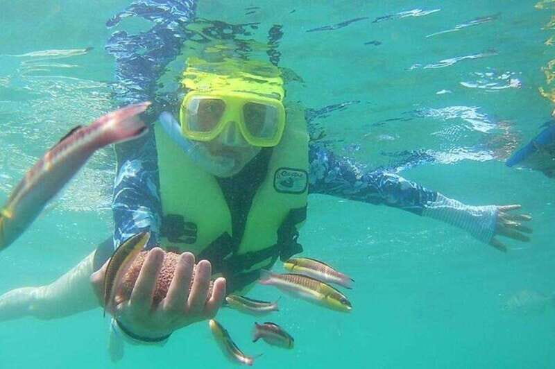 Ixtapa: Snorkeling Tour to Ixtapa Island - The Food and Local Flavor