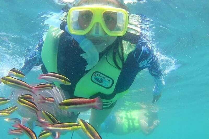 Ixtapa: Snorkeling Tour to Ixtapa Island - Who Is This Tour Best For?