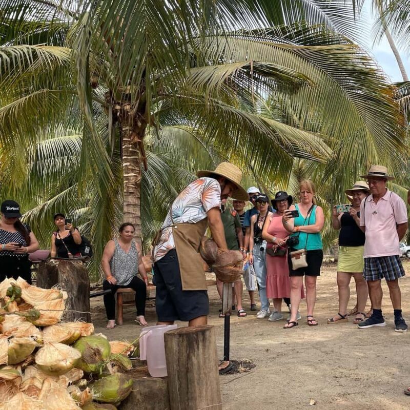 Ixtapa Zihuatanejo Archaeological Zone and Coconut Museum Tour - An Insightful Look Into the Tour