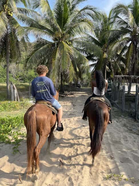 Ixtapa-Zihuatanejo: Horseback Riding Tour - The Sum Up