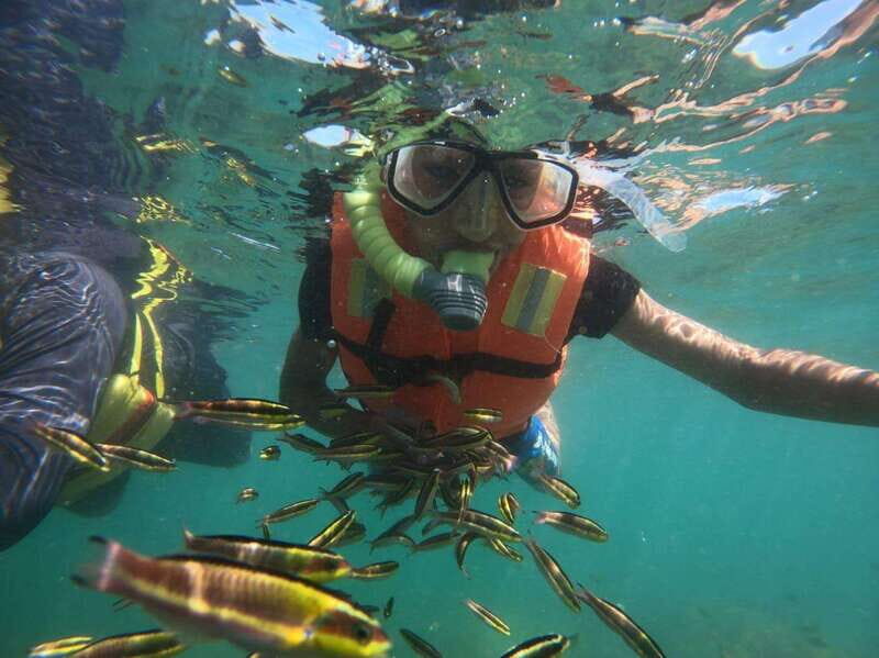 Ixtapa-Zihuatanejo: Island of Ixtapa Day Trip with Lunch - The Island Experience: Lush Nature and Relaxation