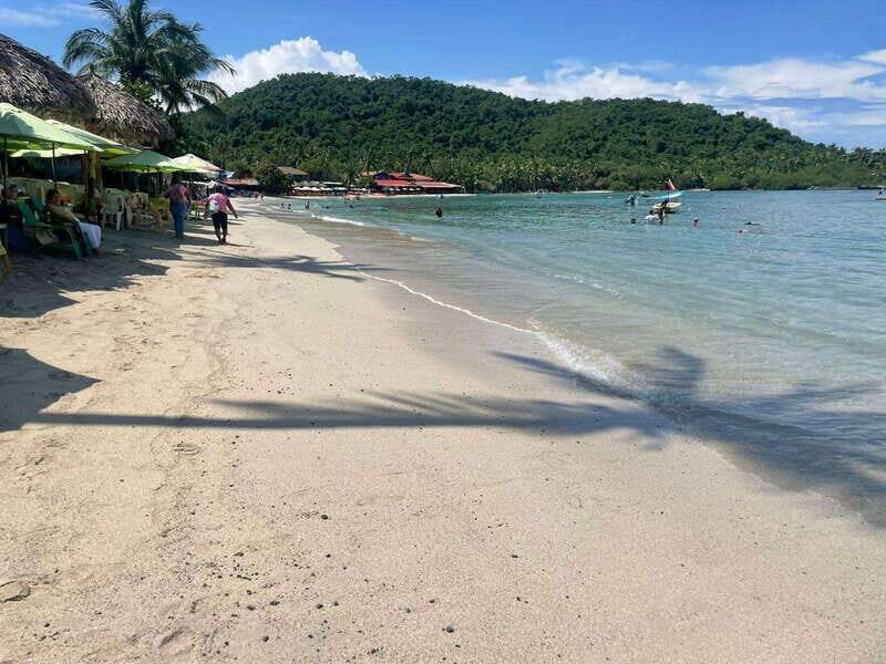 Ixtapa-Zihuatanejo: Island of Ixtapa Day Trip with Lunch - The Lunch: A Satisfying Taste of Local Flavors