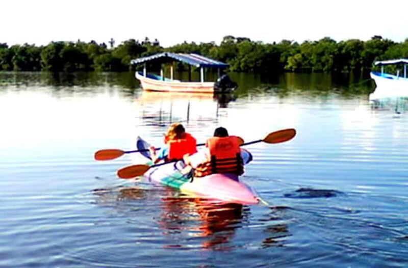 Ixtapa Zihuatanejo: Kayak Tour at Barra de Potosí - What to Expect on the Kayak Tour