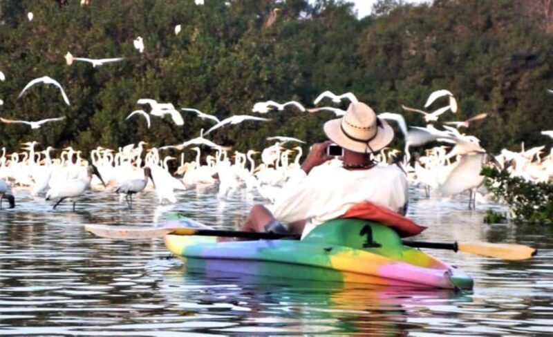 Ixtapa Zihuatanejo: Kayak Tour at Barra de Potosí - The Value of Guided Safety and Small Group Size