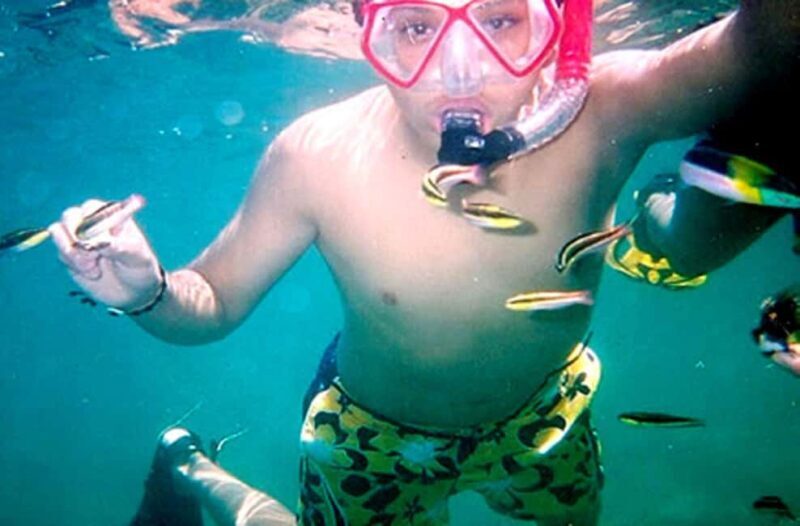 Ixtapa Zihuatanejo: Kayaking and Snorkeling Tour - An Overview of the Tour Experience