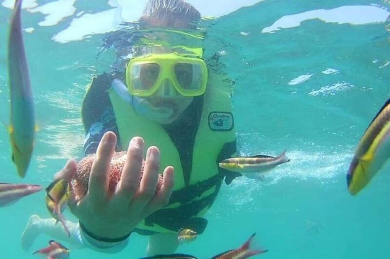 Ixtapa-Zihuatanejo: Las Gatas Beach - An In-Depth Look at What the Tour Offers