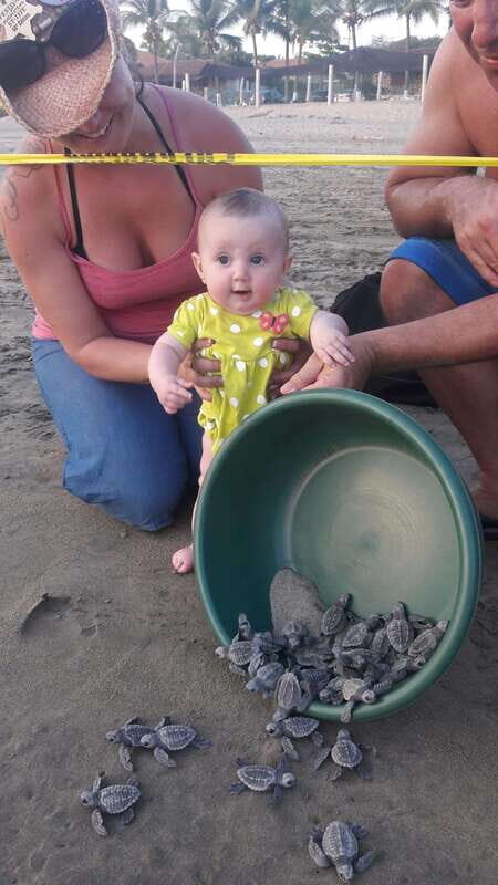 Ixtapa-Zihuatanejo: Turtle Release Tour. - What The Tour Involves