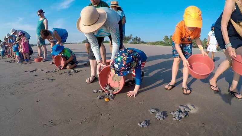 Ixtapa-Zihuatanejo: Turtle Release Tour. - What Travelers Are Saying