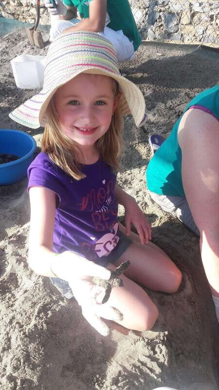 Ixtapa-Zihuatanejo: Turtle Release Tour. - The Sum Up: Is This Tour Right for You?