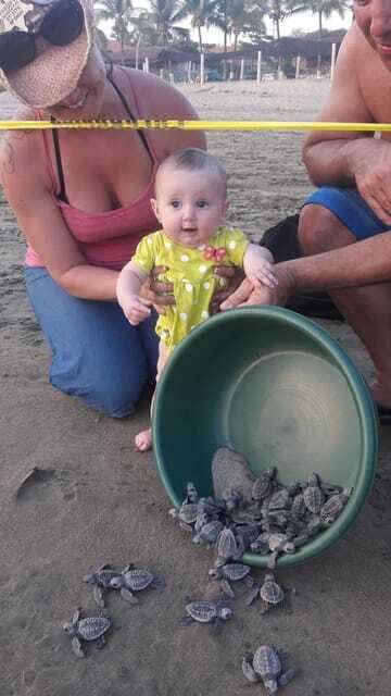 Ixtapa-Zihuatanejo: Turtle Release Tour. - FAQ
