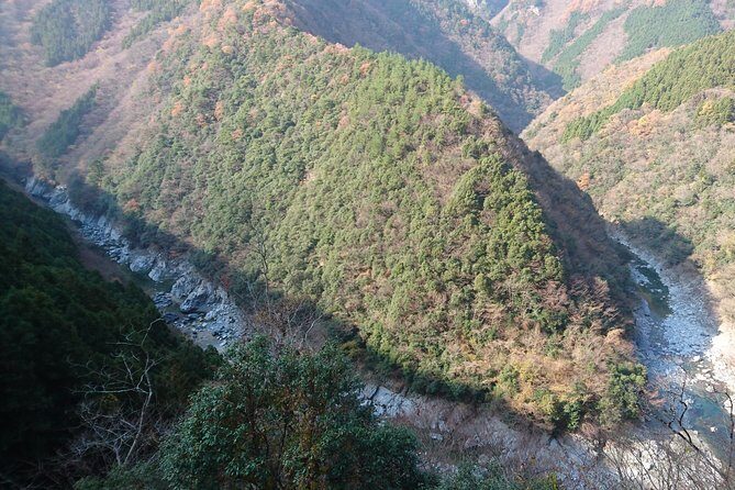 Iya Valley BROMPTON Slow Cycling Tour - Who Should Consider This Tour?