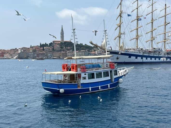 Izlet brodom iz Vrsara: Zalazak sunca i druenje s delfinima - The Experience at a Glance