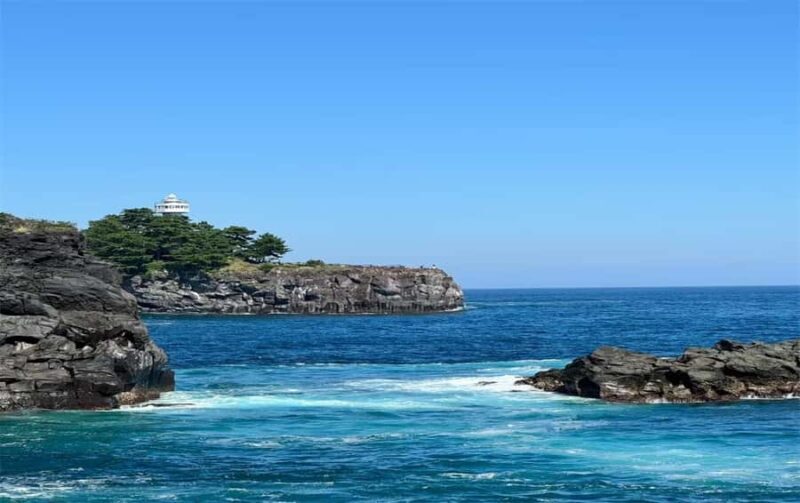 Izu: Ito Coast Grotesque & Doll Museum Day Trip From Tokyo - Key Points