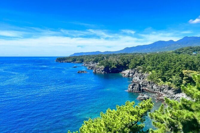 Izu Mount Omuro Day Tour: Atami Beach Line,Ropeway,Jogasaki Coast - An Introduction to the Tour Experience
