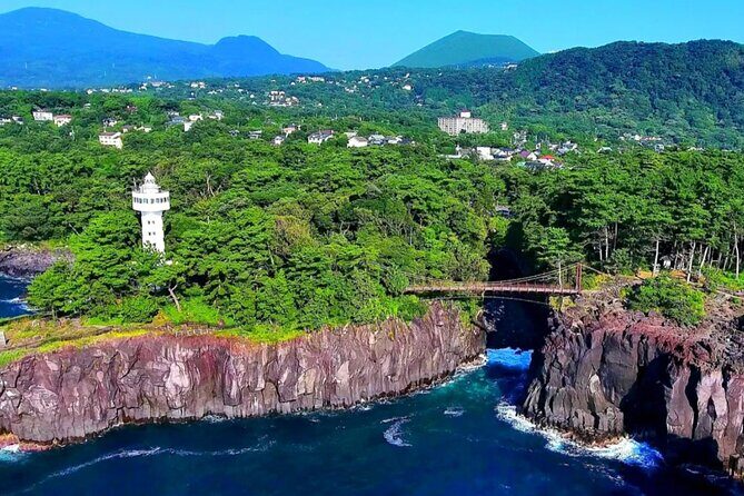 Izu Mount Omuro Day Tour: Atami Beach Line,Ropeway,Jogasaki Coast - Authentic Experiences and What Travelers Say