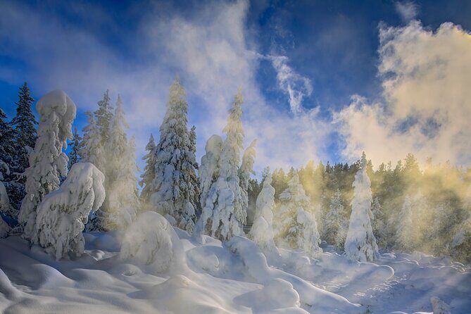 Jackson 4-Day and 3-Night Grand Teton and Yellowstone Winter Tour - Who Would Love This Tour