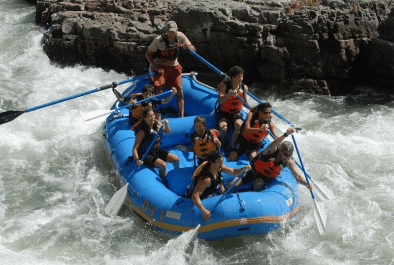 Jackson: 4-Hour Small Boat Snake River Whitewater Rafting - Who Should Consider This Tour?