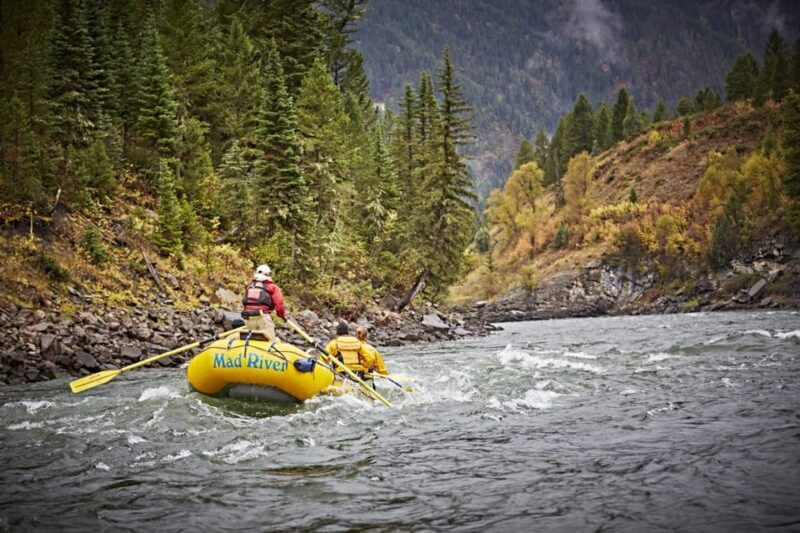 Jackson: 8-Mile Classic Boat Whitewater Rafting Trip - The Heart of the Experience: What to Expect