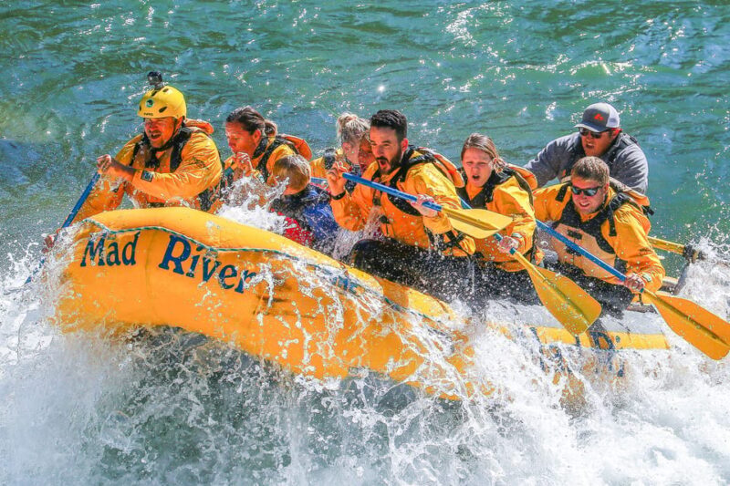 Jackson: 8-Mile Small-Boat Whitewater Rafting Trip - The Guide Experience and Customer Feedback
